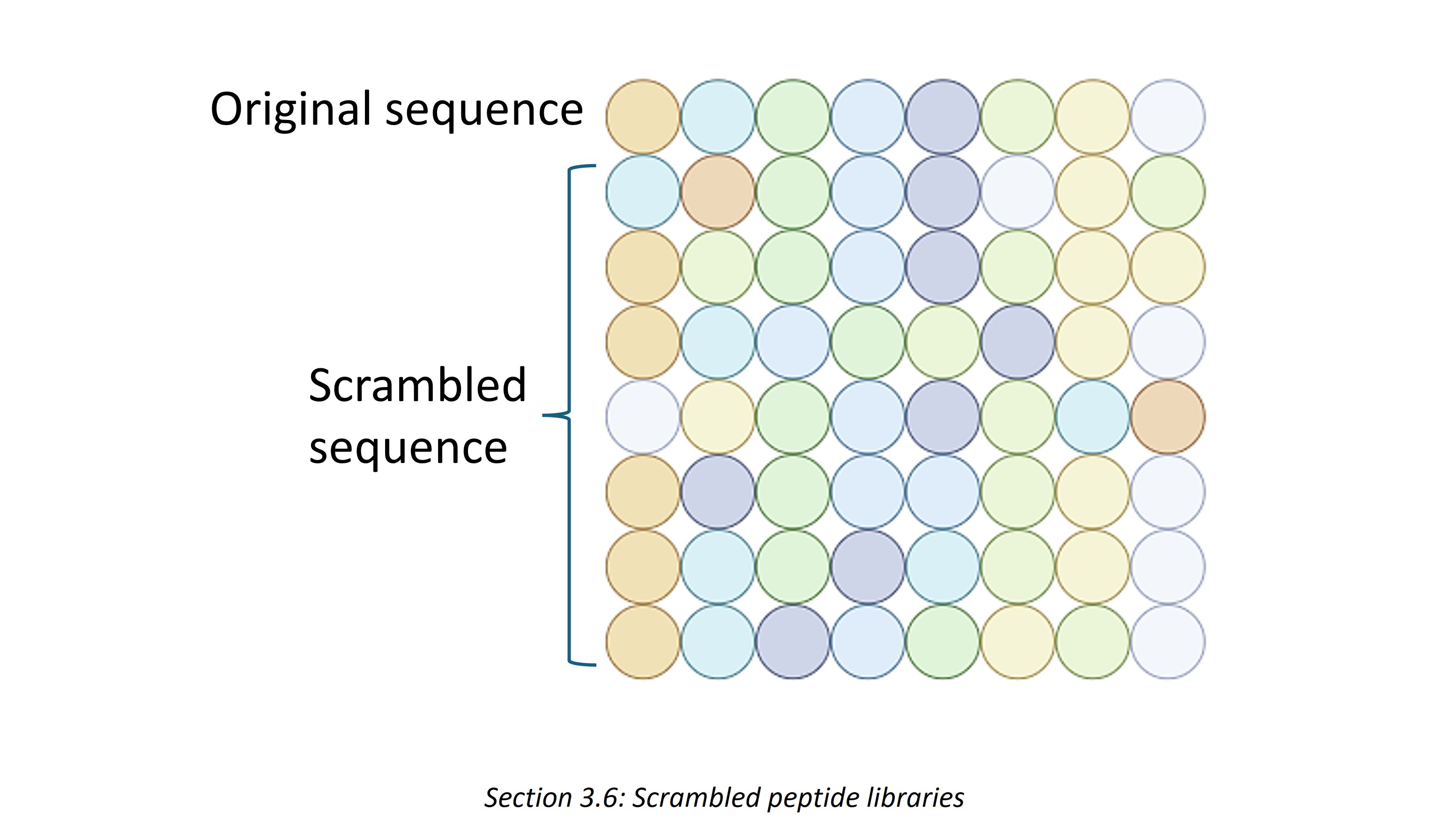 Synthetic Peptide Libraries: Unlocking New Possibilities in ...